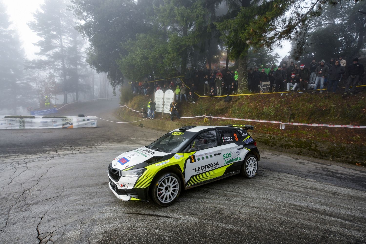Nucita - Floris trionfano al 34° Rally Il Ciocchetto - Rallyssimo